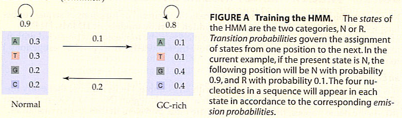 In Genome DNA Sequence, There Are GC-rich Regions ... | Chegg.com